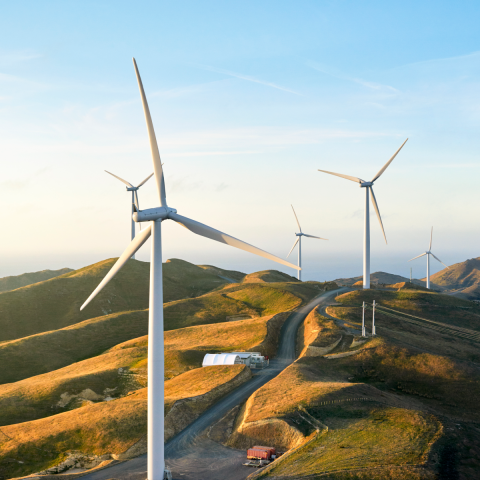 Certified Renewable Energy | Meridian Energy