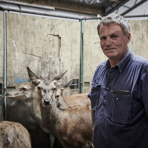 Power for dry stock farms | Meridian Energy