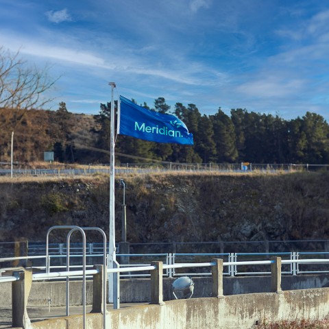 Acting responsibly for our planet | Meridian Energy