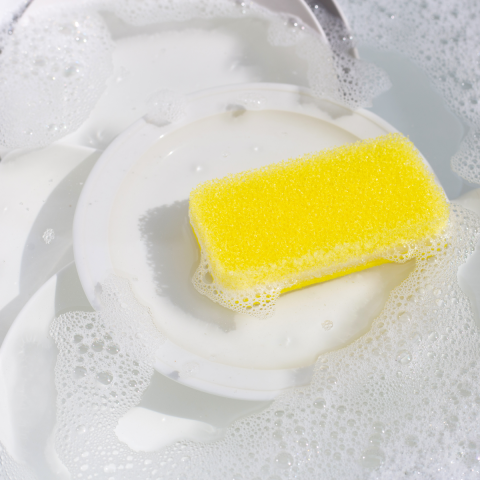 Looking to save money on hot water? | Meridian Energy