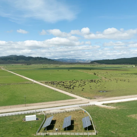 Te Rahui Solar Farm | Meridian Energy