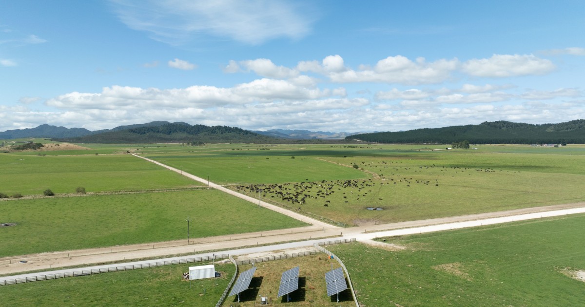 Meridian and Nova to partner for Te Rahui solar farm | Meridian Energy